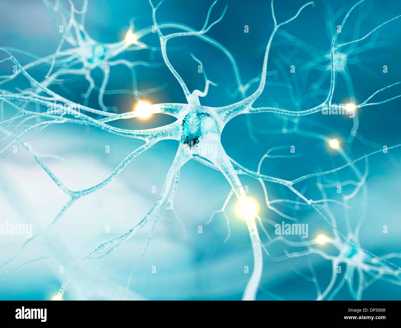 Active nerve cells, artwork Stock Photo - Alamy