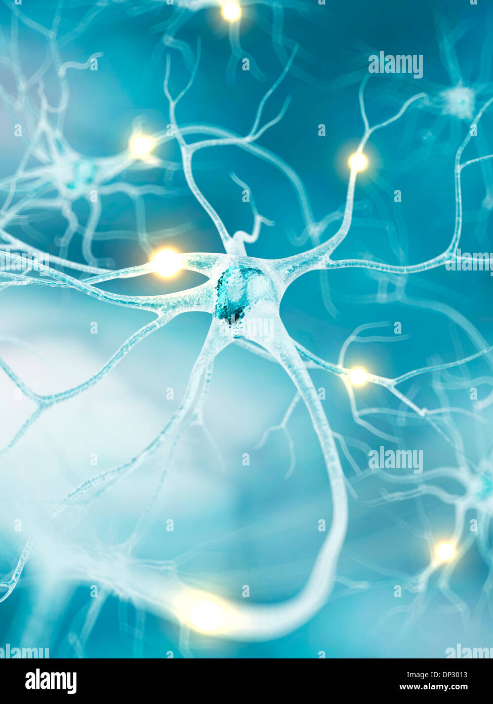 Active nerve cells, artwork Stock Photo - Alamy