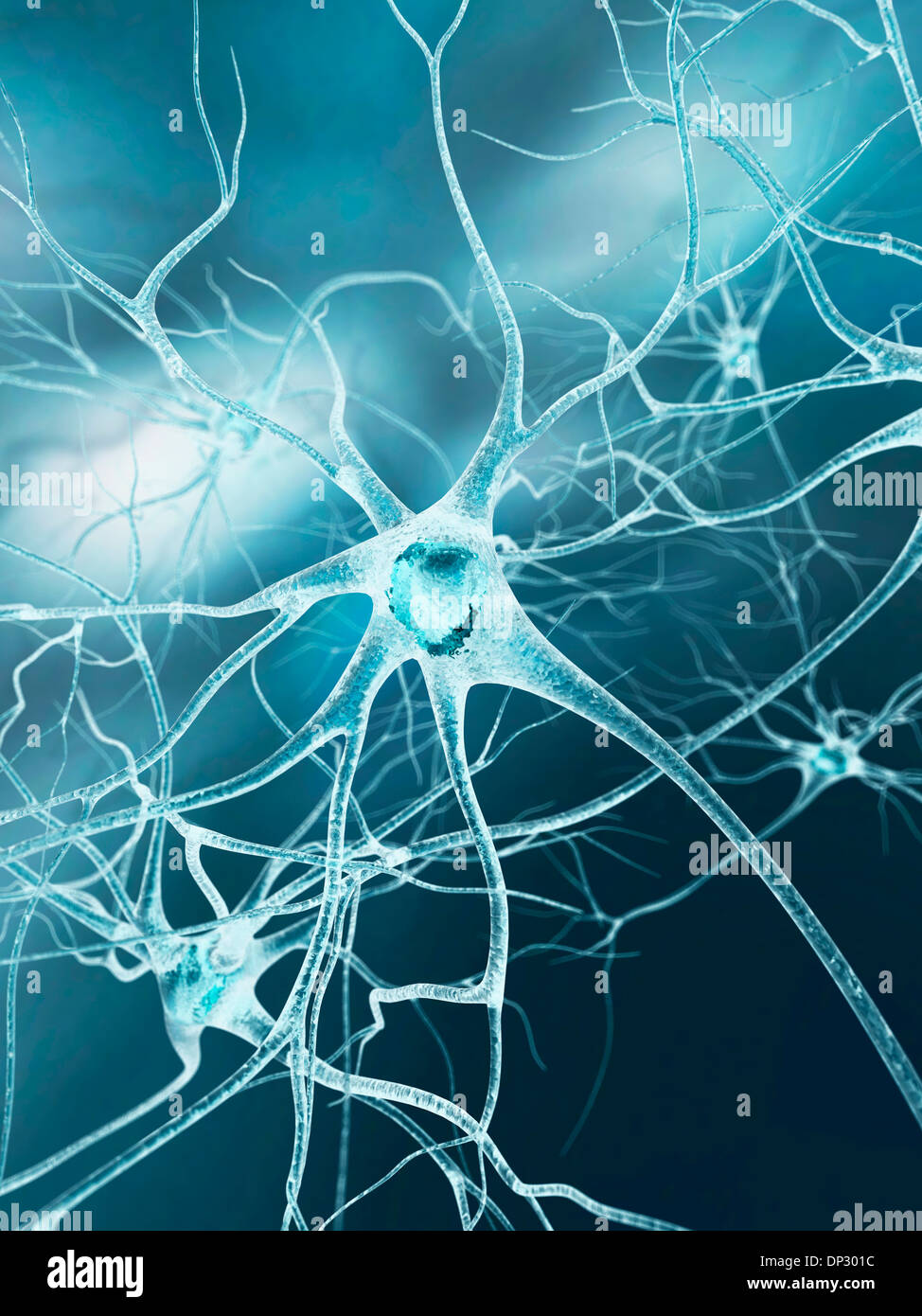 Nerve cell, artwork Stock Photo - Alamy