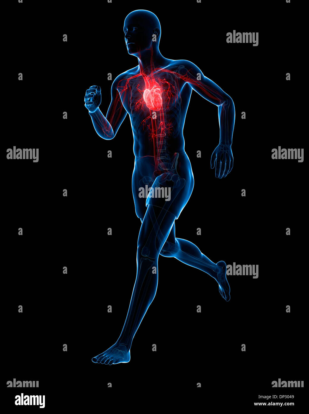 Runners heart, artwork Stock Photo - Alamy