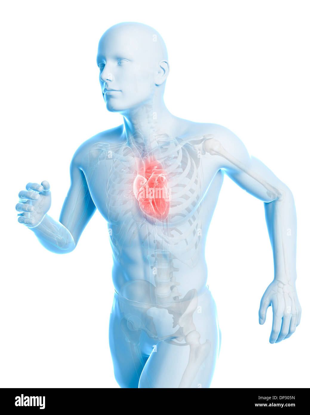 Runner heart, artwork Stock Photo - Alamy