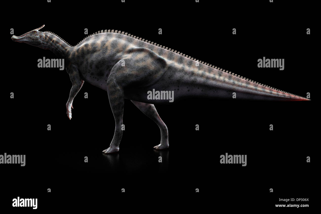 Saurolophus hi-res stock photography and images - Alamy