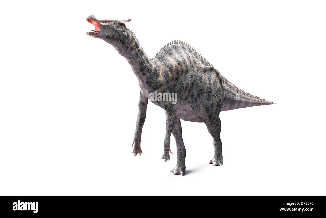 Saurolophus dinosaur, artwork Stock Photo - Alamy