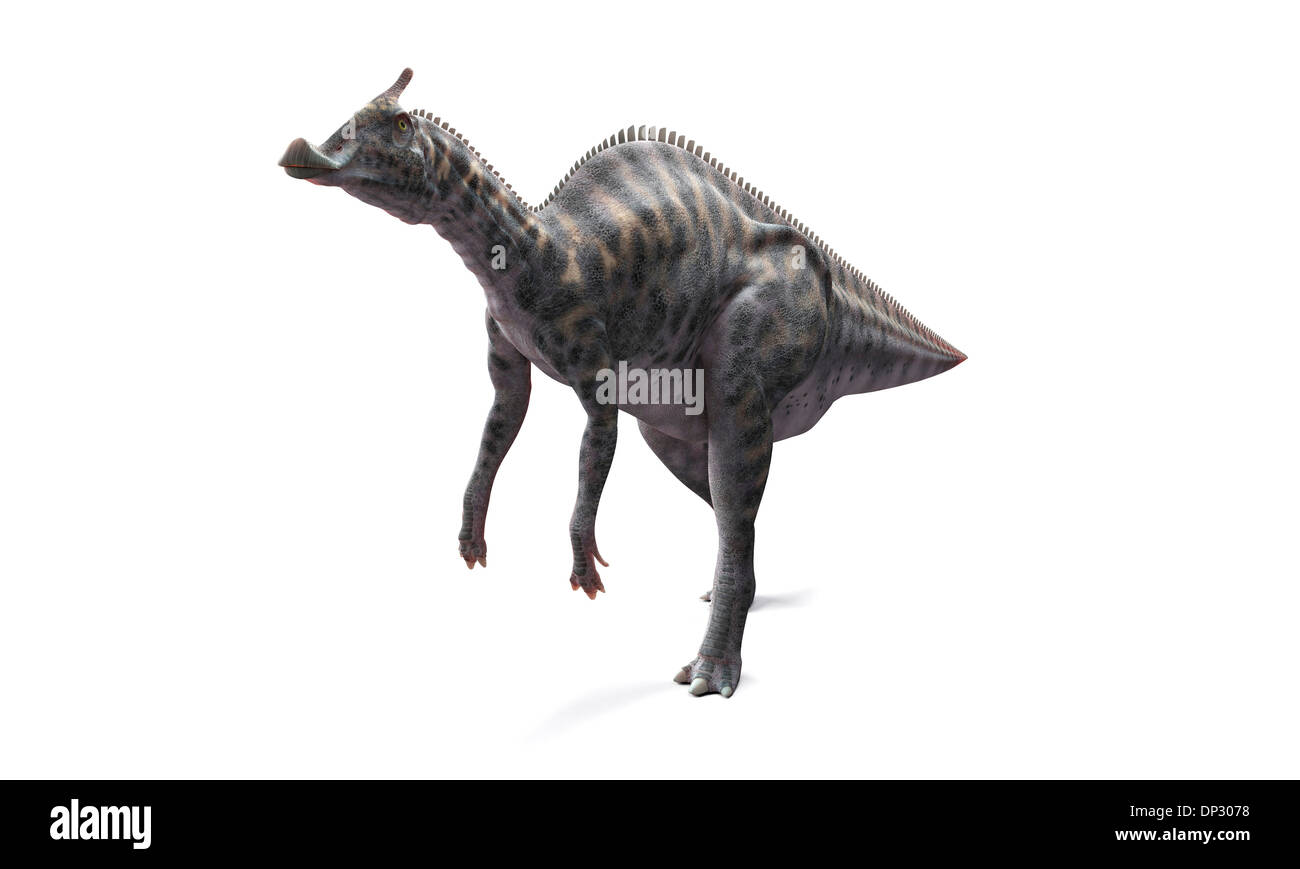 Saurolophus dinosaur, artwork Stock Photo - Alamy
