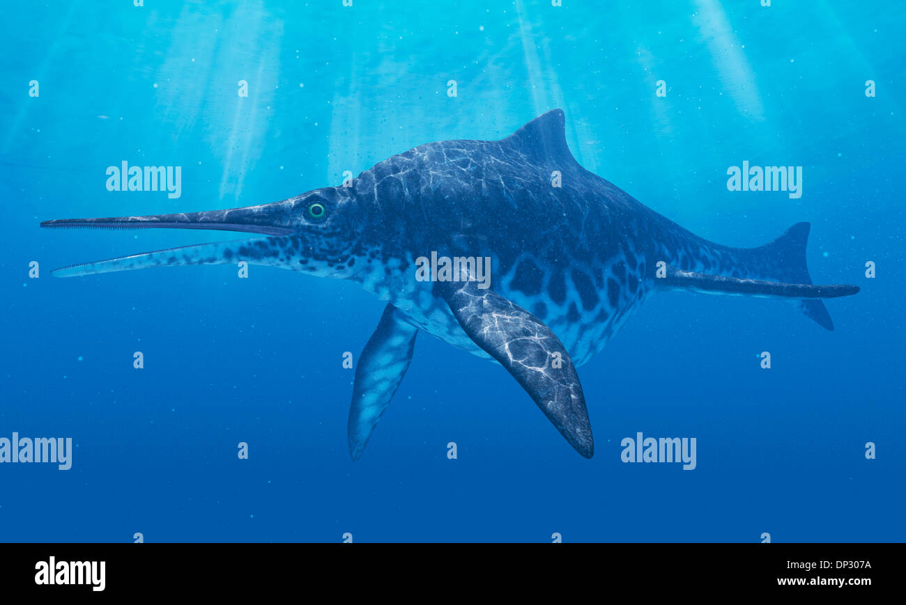 Shonisaurus hi-res stock photography and images - Alamy