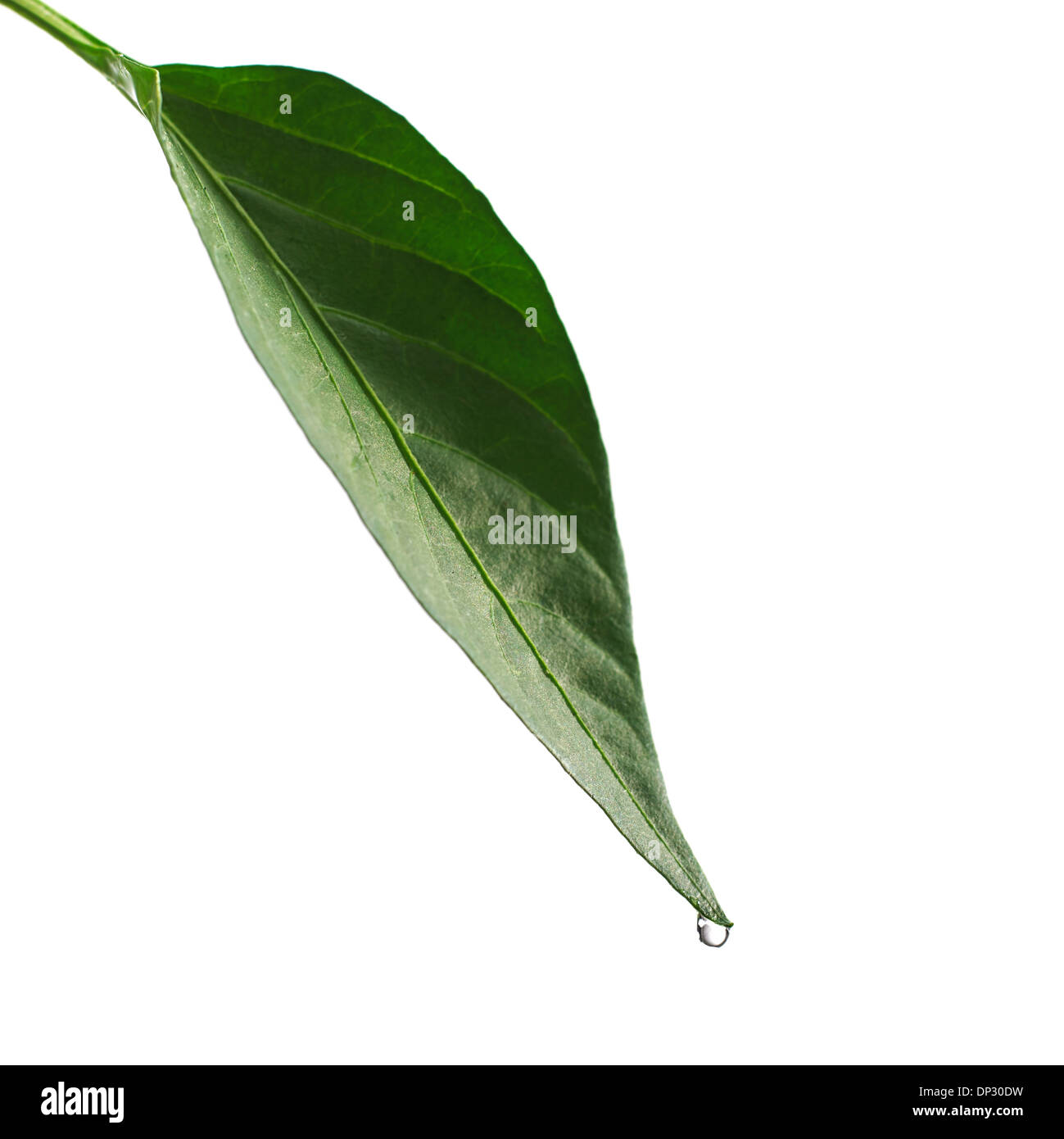 Drop hi-res stock photography and images - Alamy