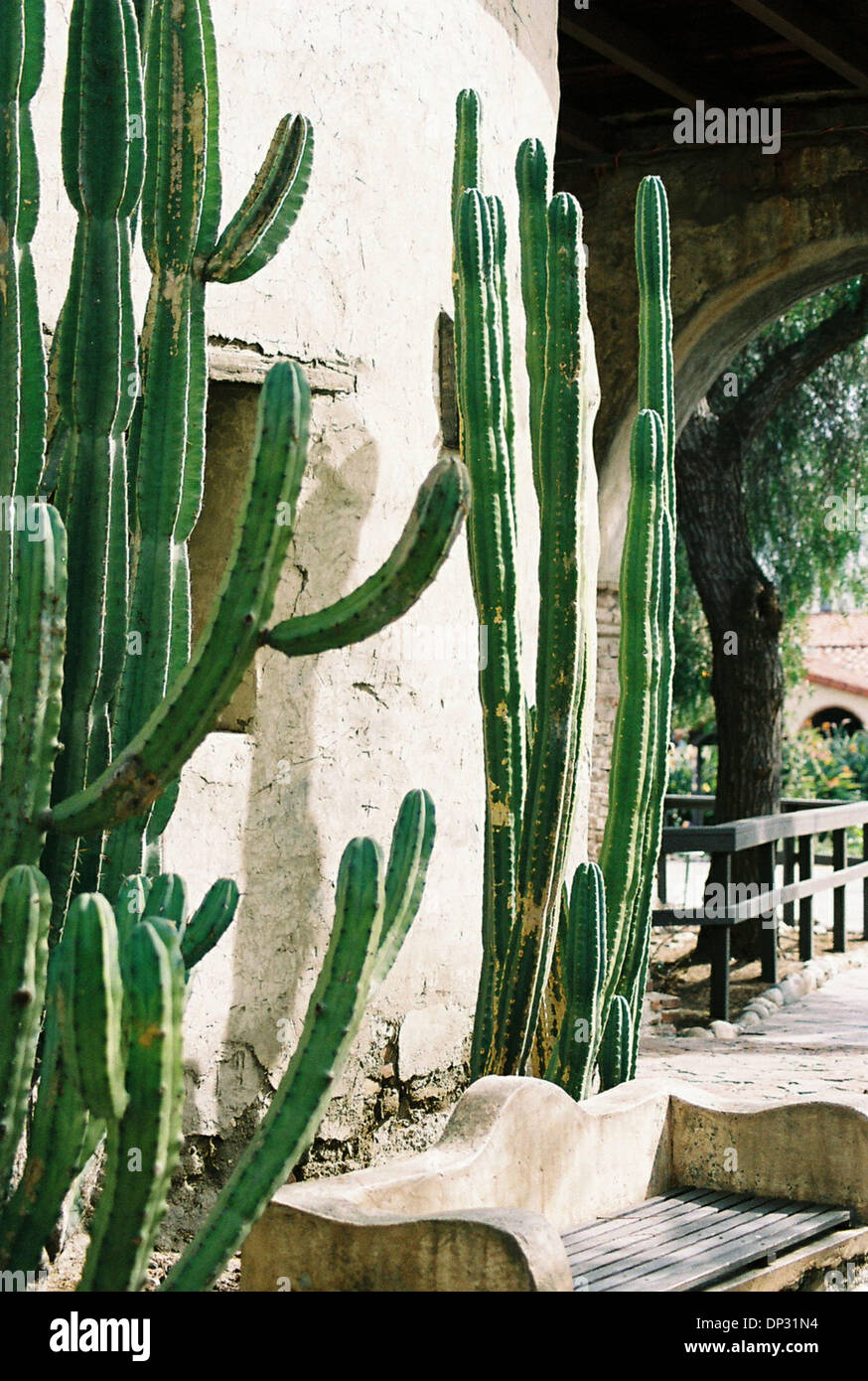 Jun 16, 2006; San Juan Capistrano, CA, USA; Founded in November, 1776 ...