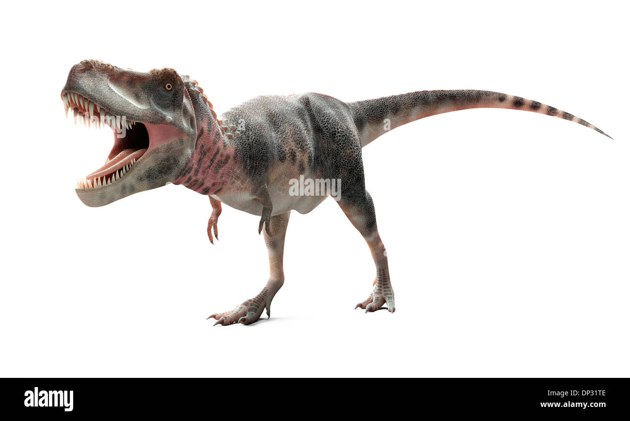Tarbosaurus illustration Cut Out Stock Images & Pictures - Alamy