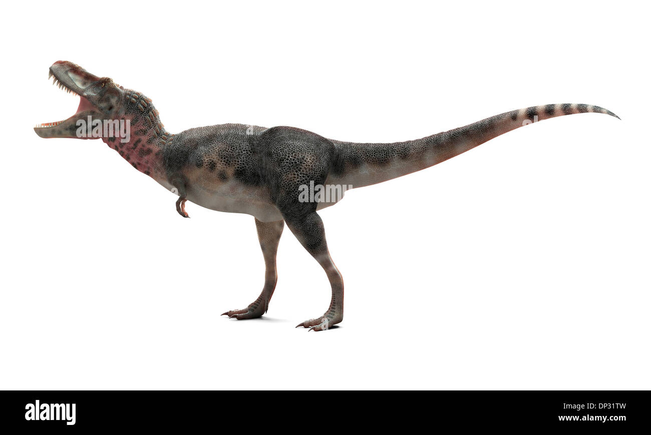 Dinosaur tarbosaurus hi-res stock photography and images - Alamy