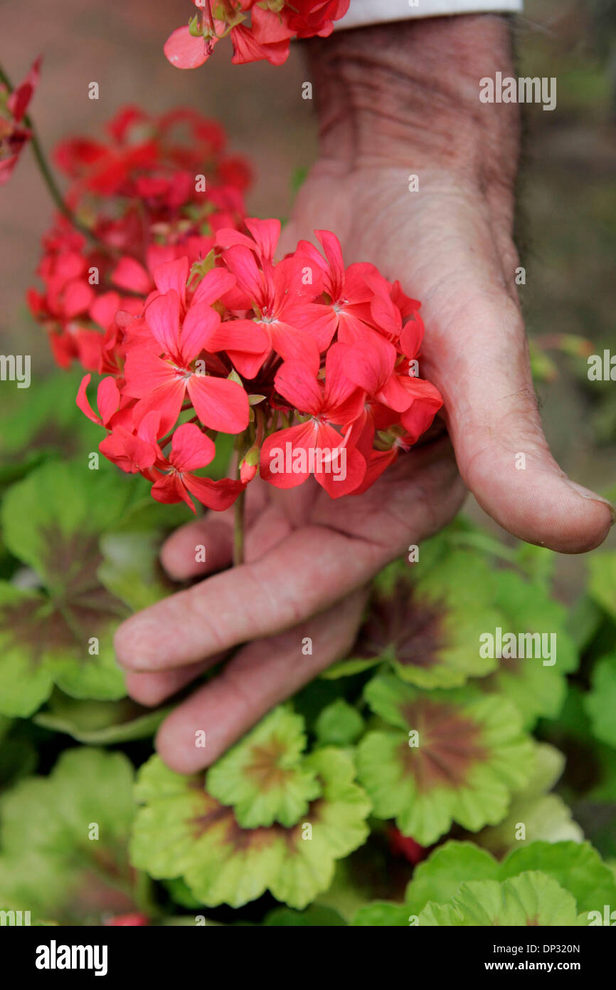 George marston hi-res stock photography and images - Alamy