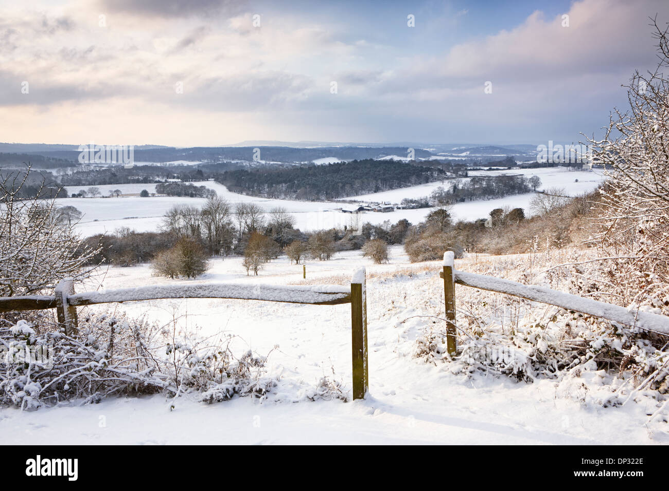 Fresh snow fall covering the Surrey landscape at Newlands Corner Stock ...