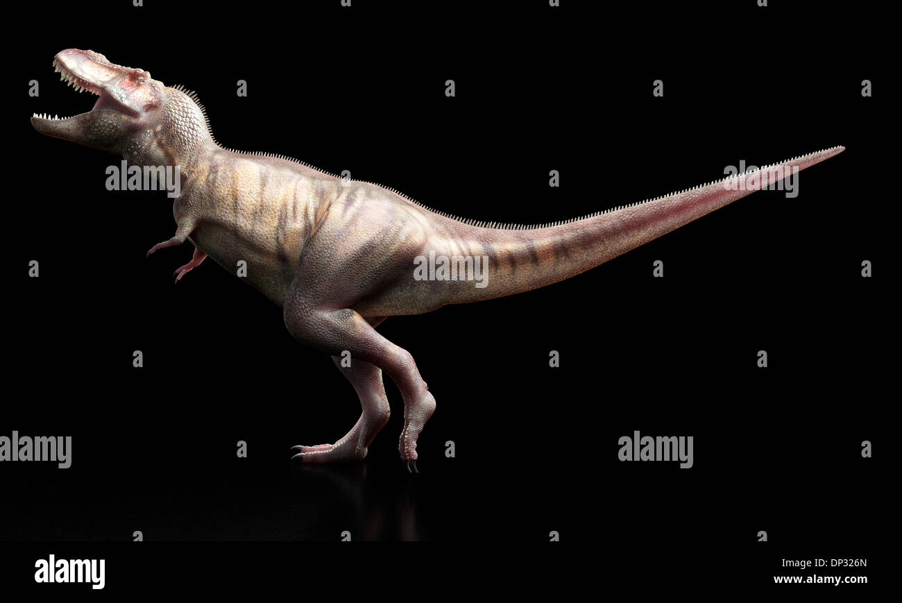 Tyrannosaurus rex side hi-res stock photography and images - Alamy