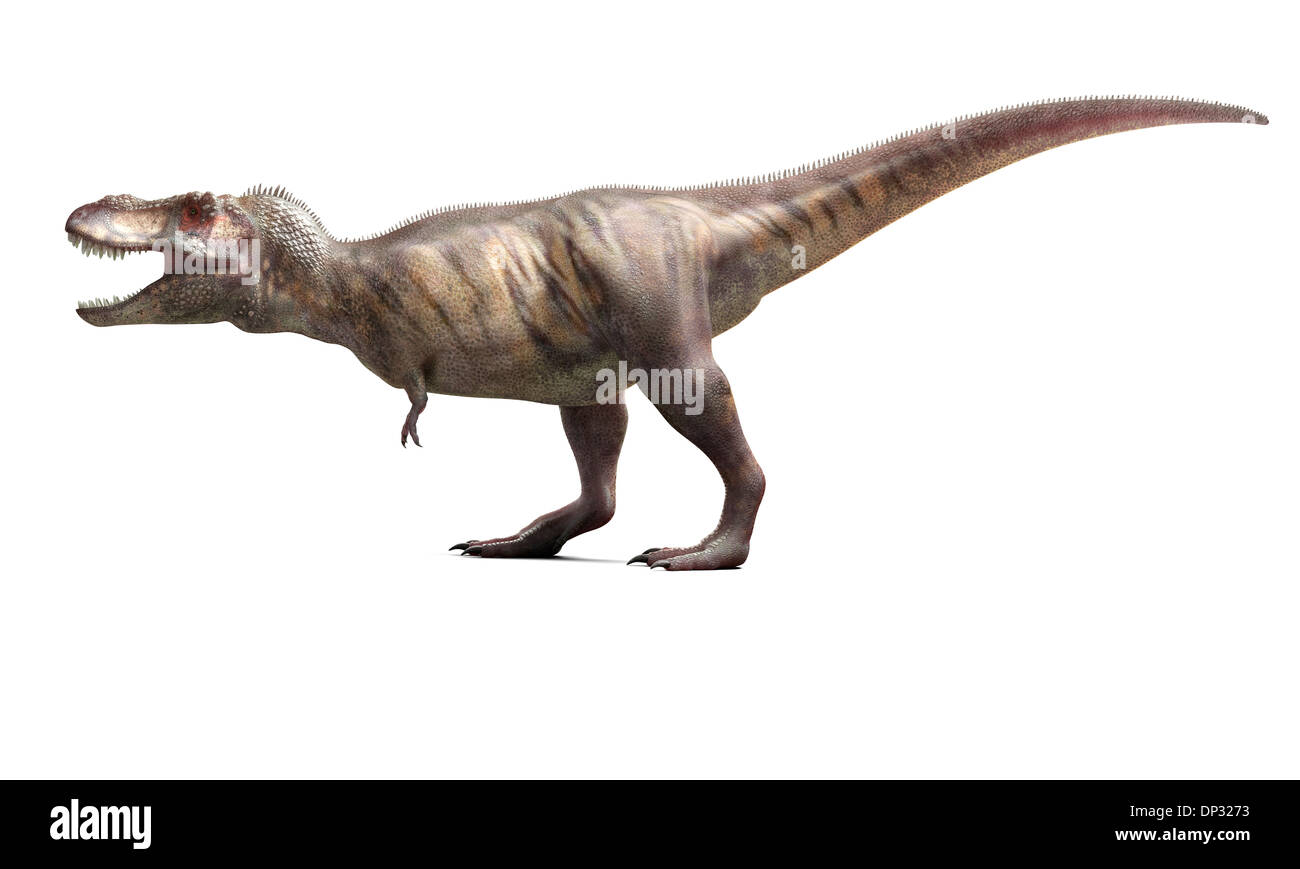Tyrannosaurus rex side hi-res stock photography and images - Alamy