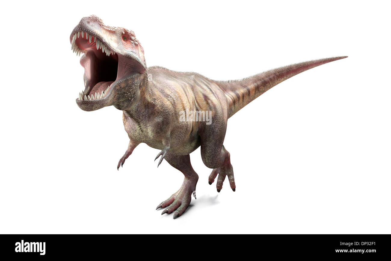 Tyrannosaurus rex Cut Out Stock Images & Pictures - Alamy