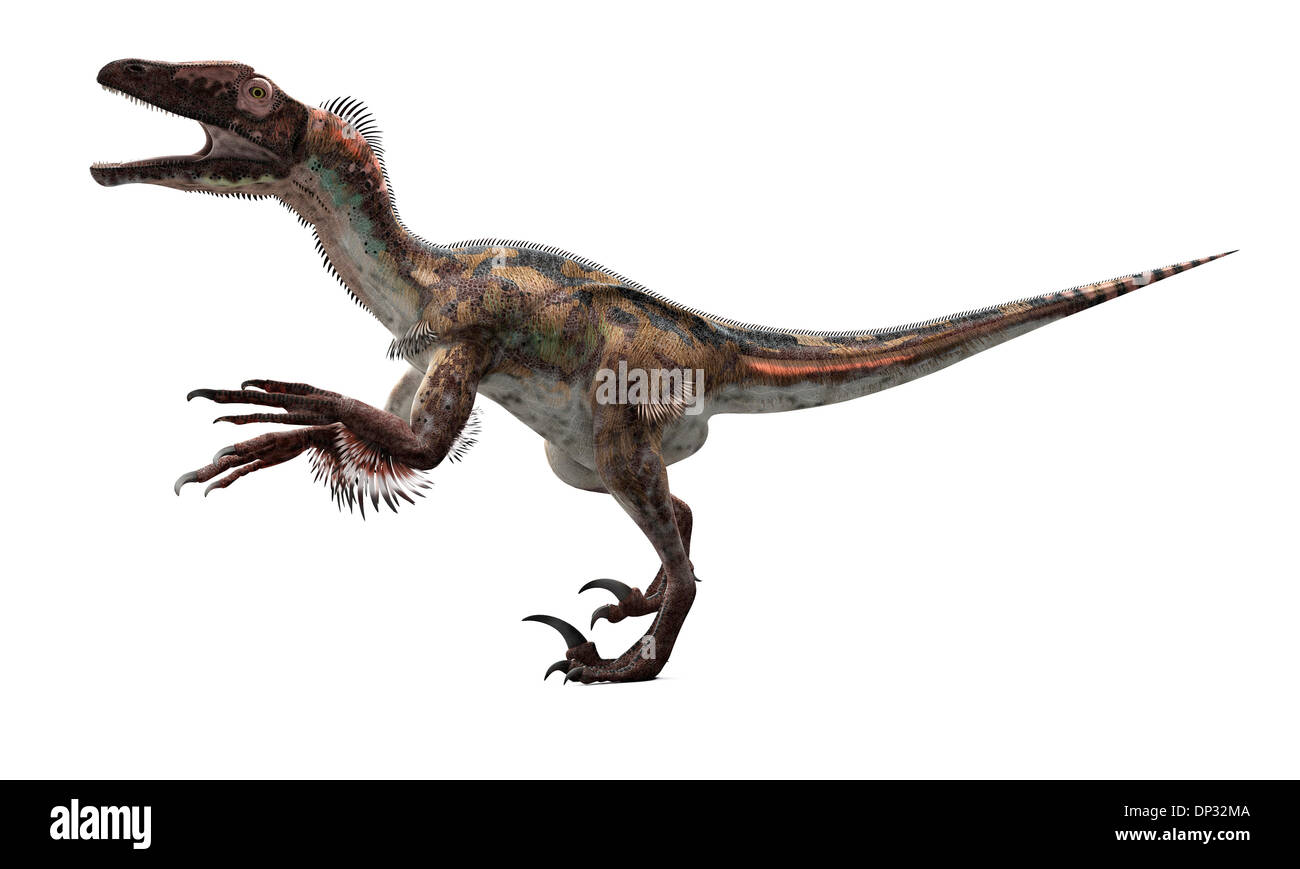 Utahraptor dinosaur, artwork Stock Photo - Alamy