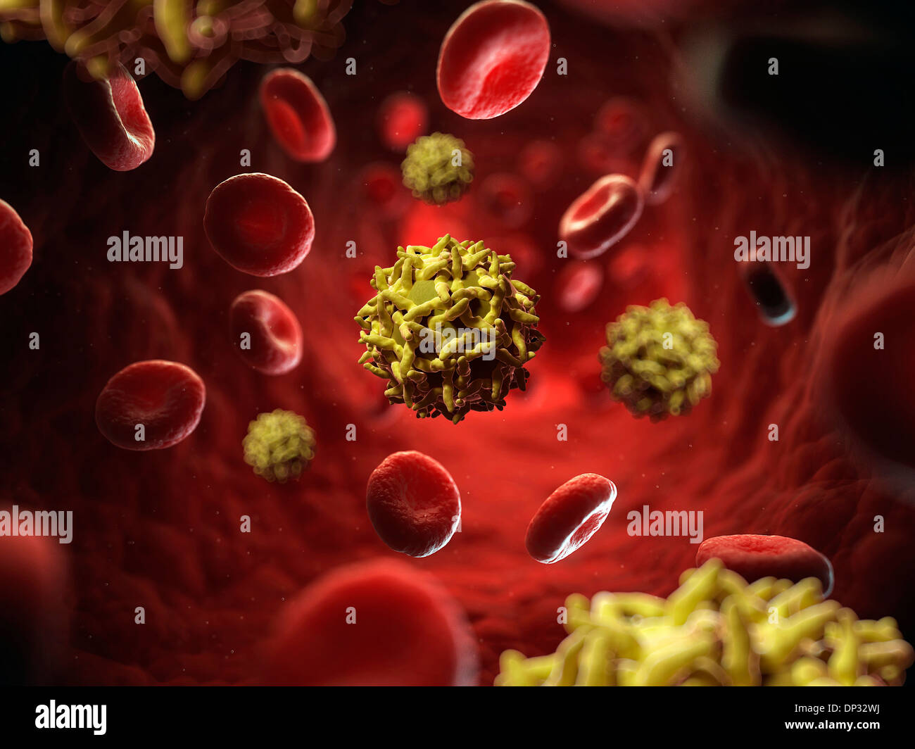 Yellow fever virus particle hi-res stock photography and images - Alamy