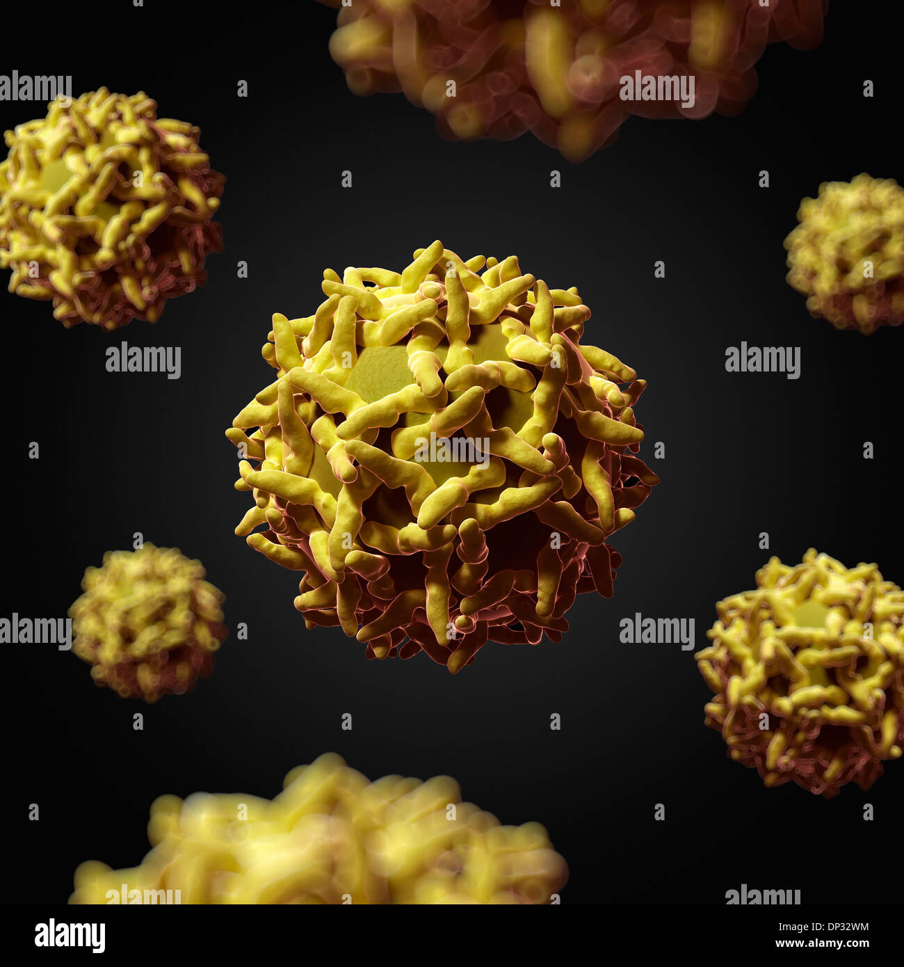 Fabulous Yellow Fever Vector Photographs The Vector Of Yellow Fever