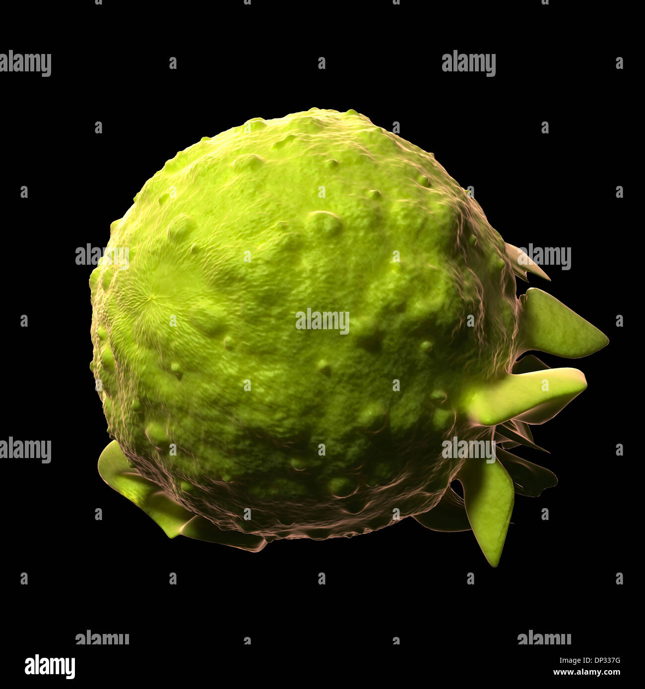 Mono virus, artwork Stock Photo - Alamy