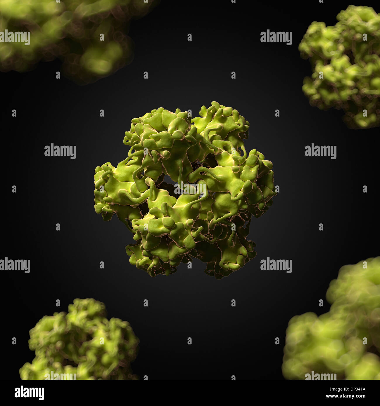 Human papillomavirus hi-res stock photography and images - Alamy