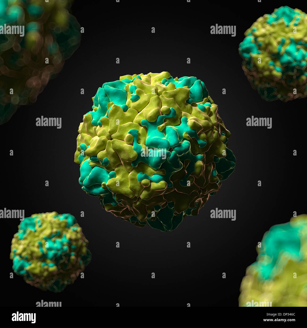Swine vesicular disease virus, artwork Stock Photo - Alamy