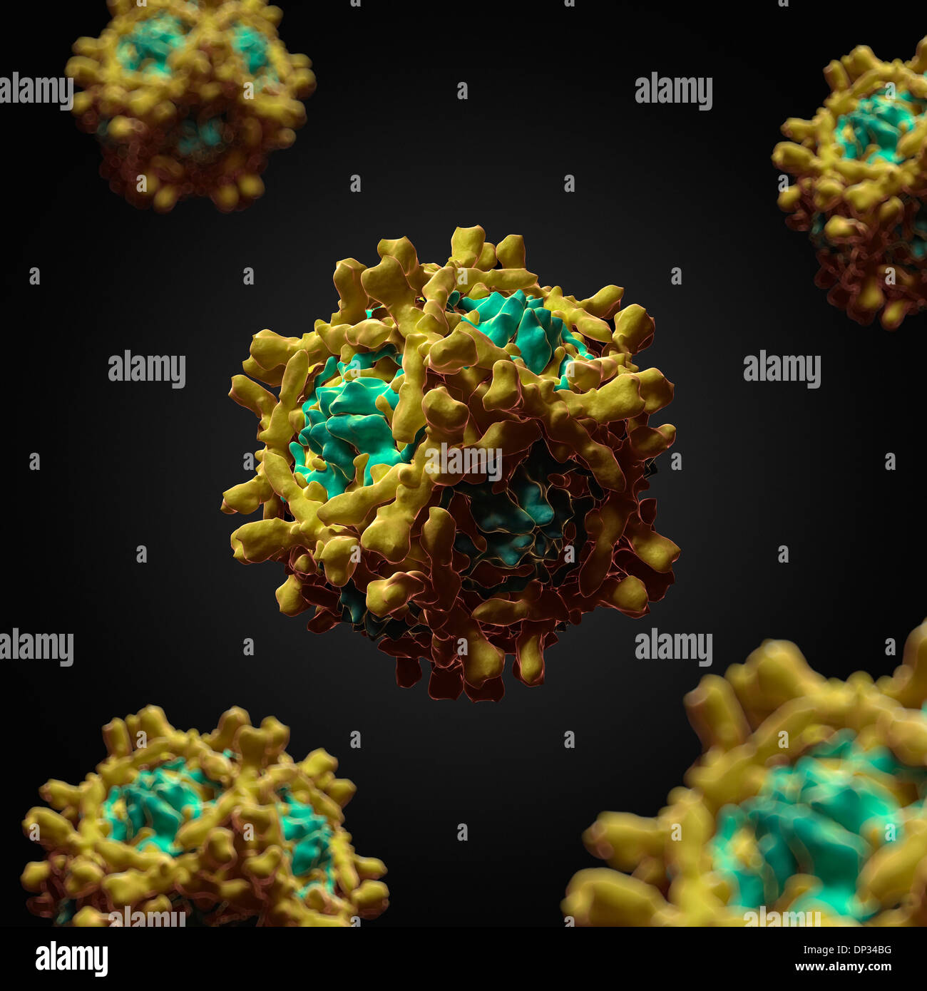 Echovirus particle artwork hi-res stock photography and images - Alamy