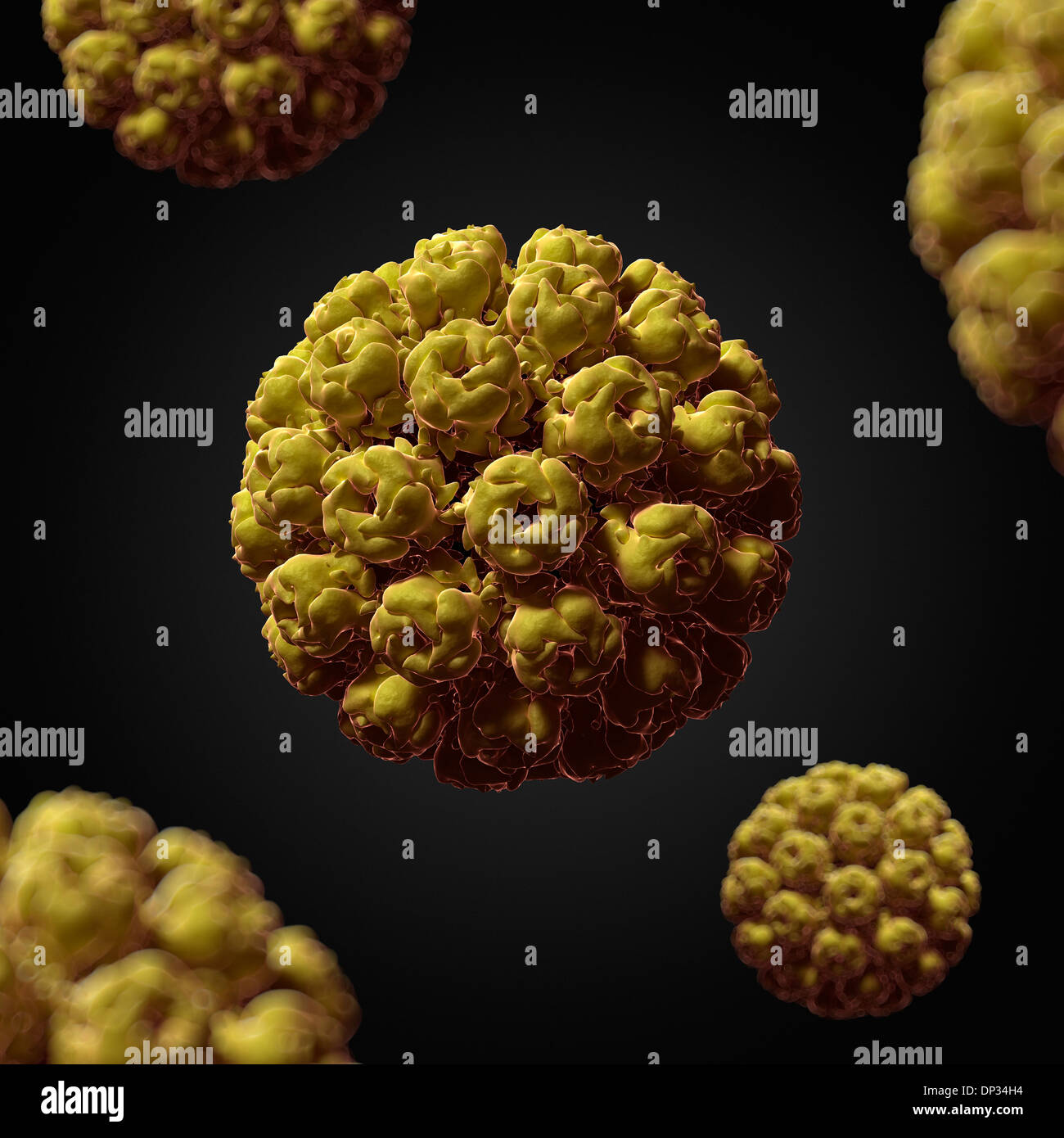 Murine polyomavirus hi-res stock photography and images - Alamy