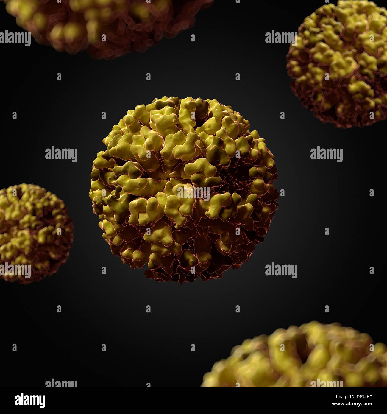 Norovirus particle hi-res stock photography and images - Alamy