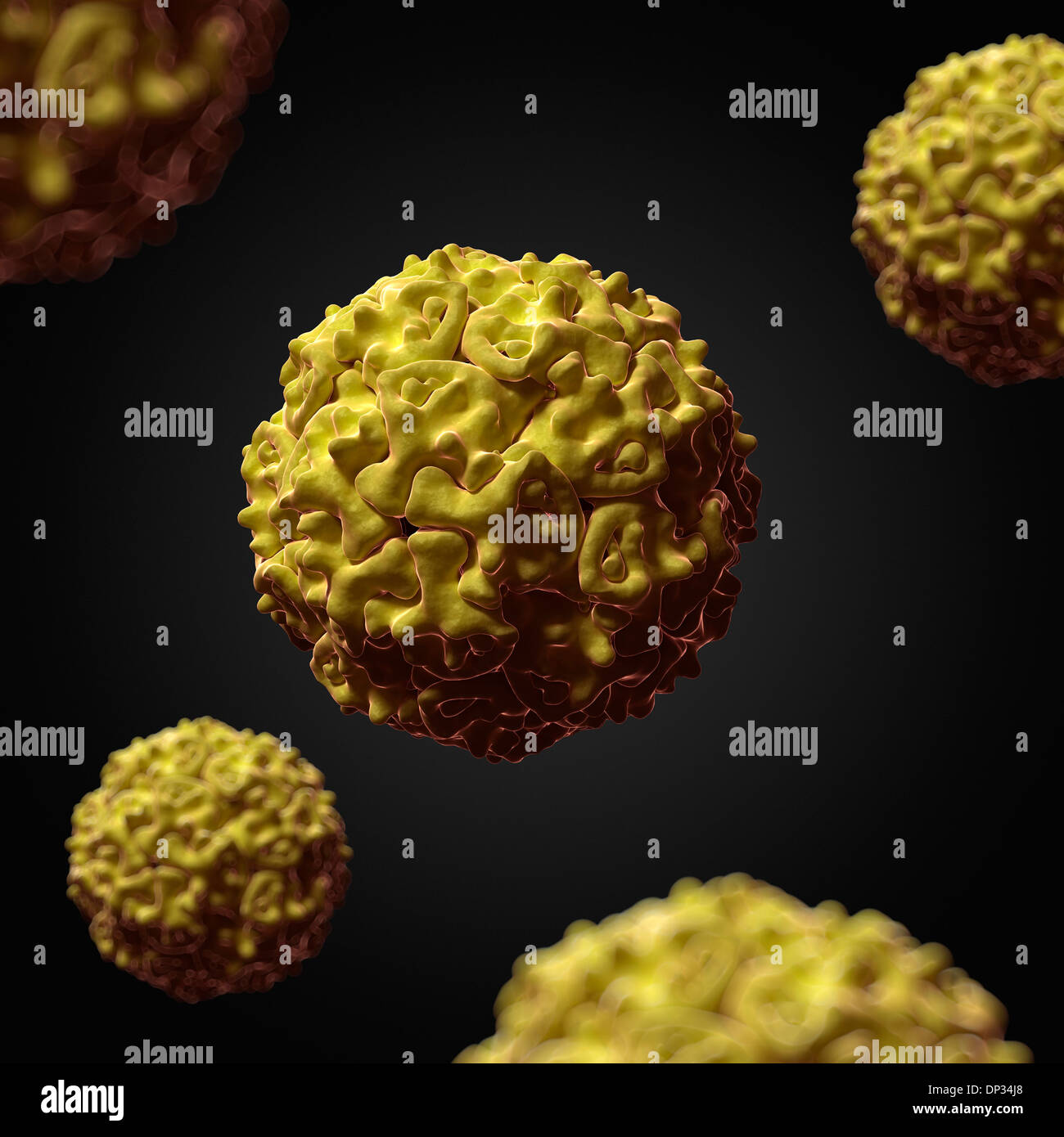 Densovirus particle, artwork Stock Photo - Alamy