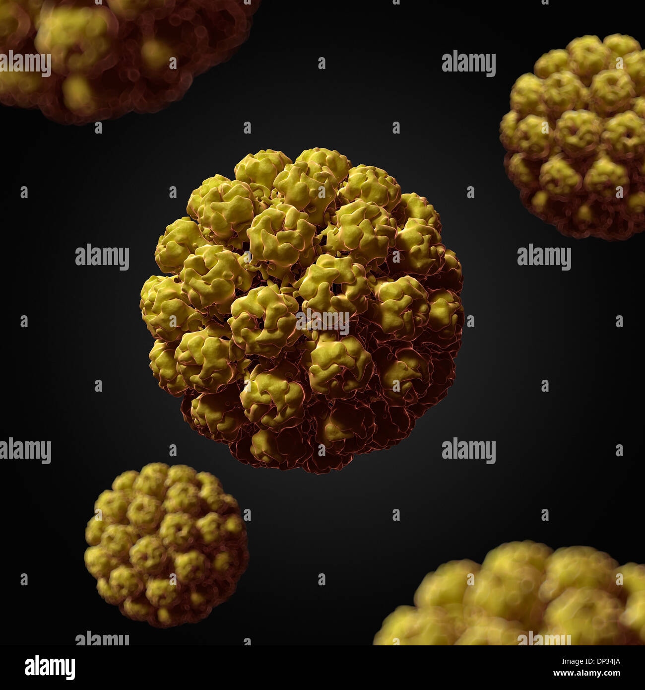 Polyomavirus hi-res stock photography and images - Alamy
