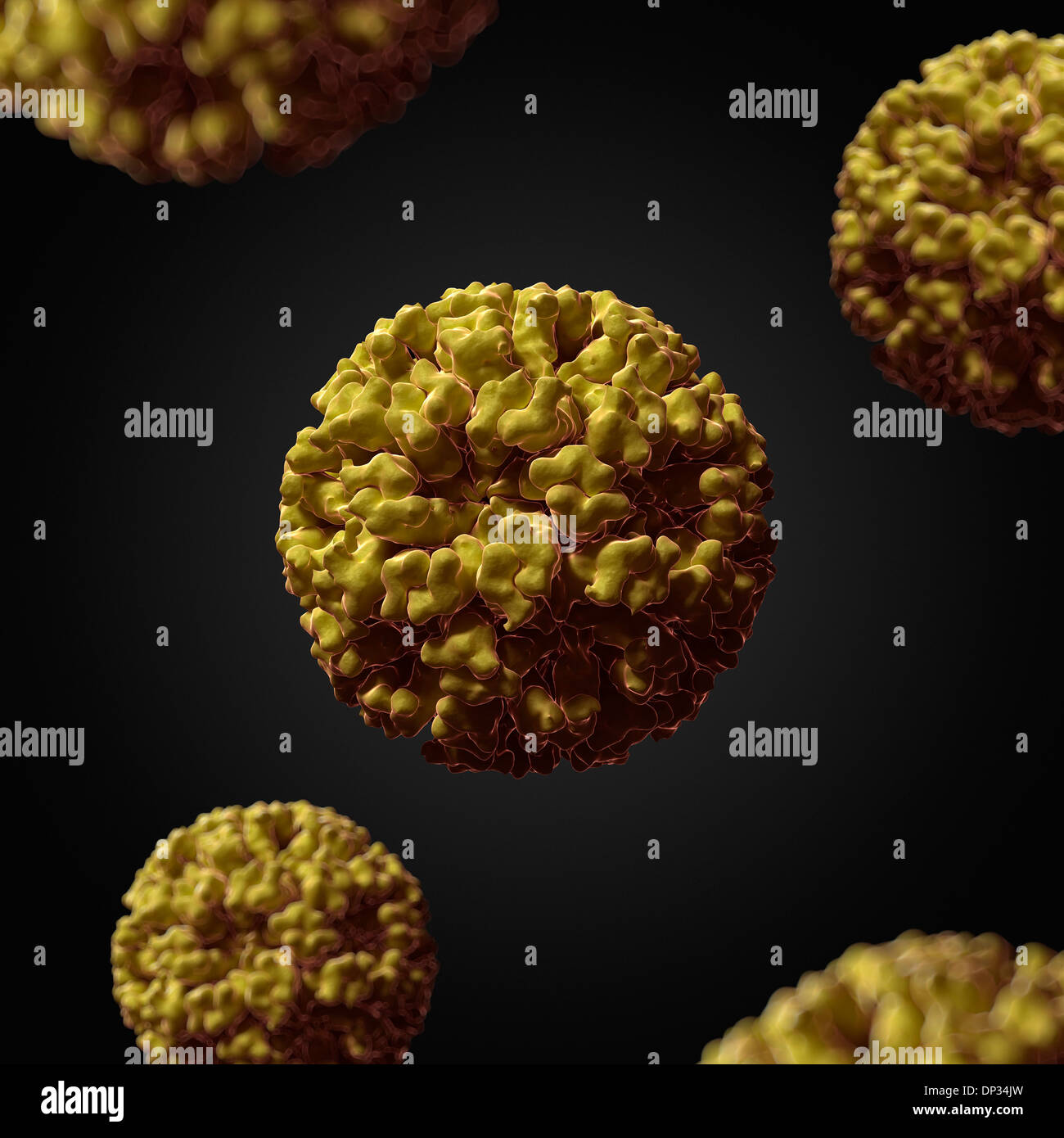 Virus norwalk hi-res stock photography and images - Alamy Virus norwalk hi-res stock photography and images - Alamy