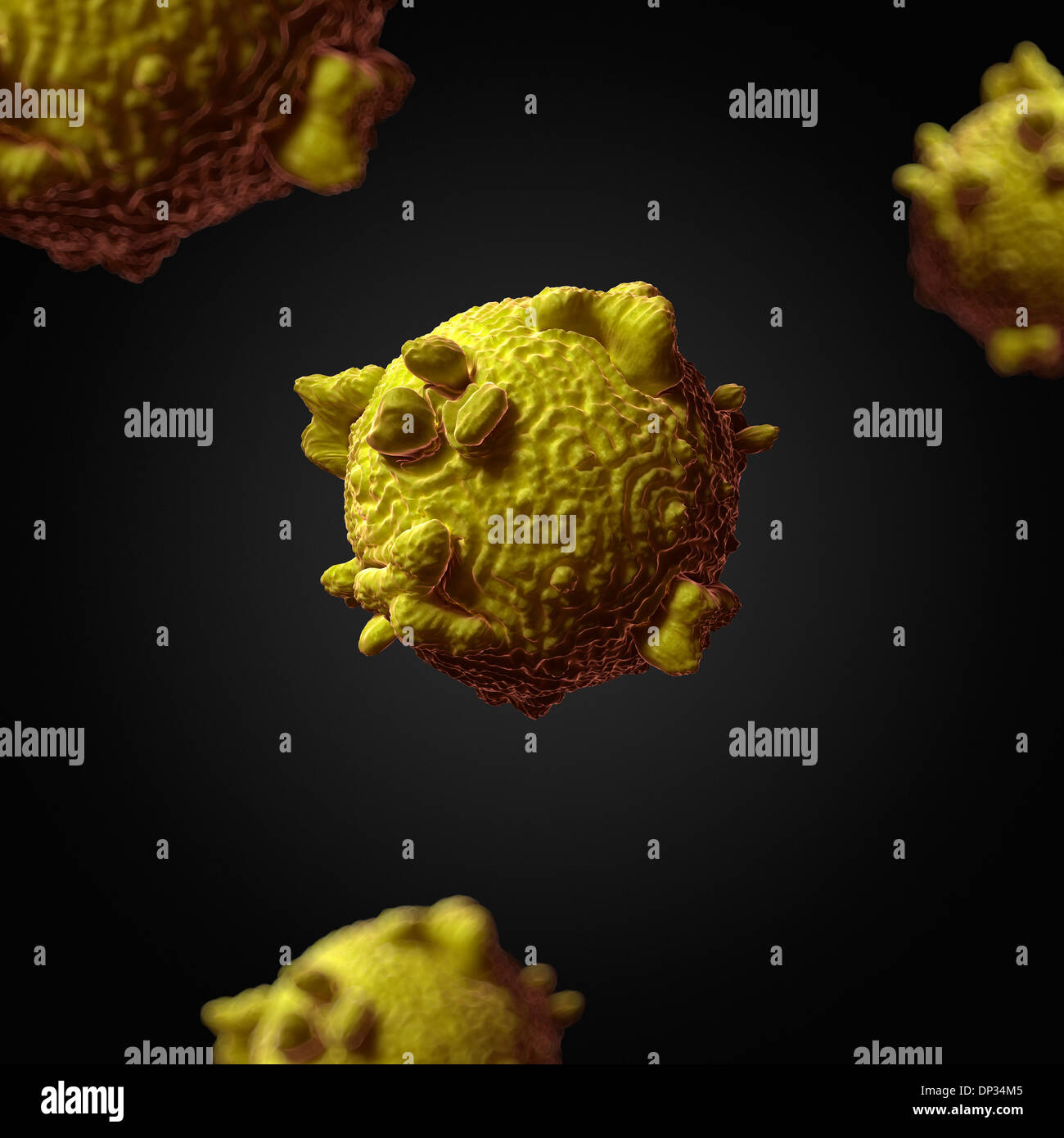 Parvovirus High Resolution Stock Photography and Images - Alamy