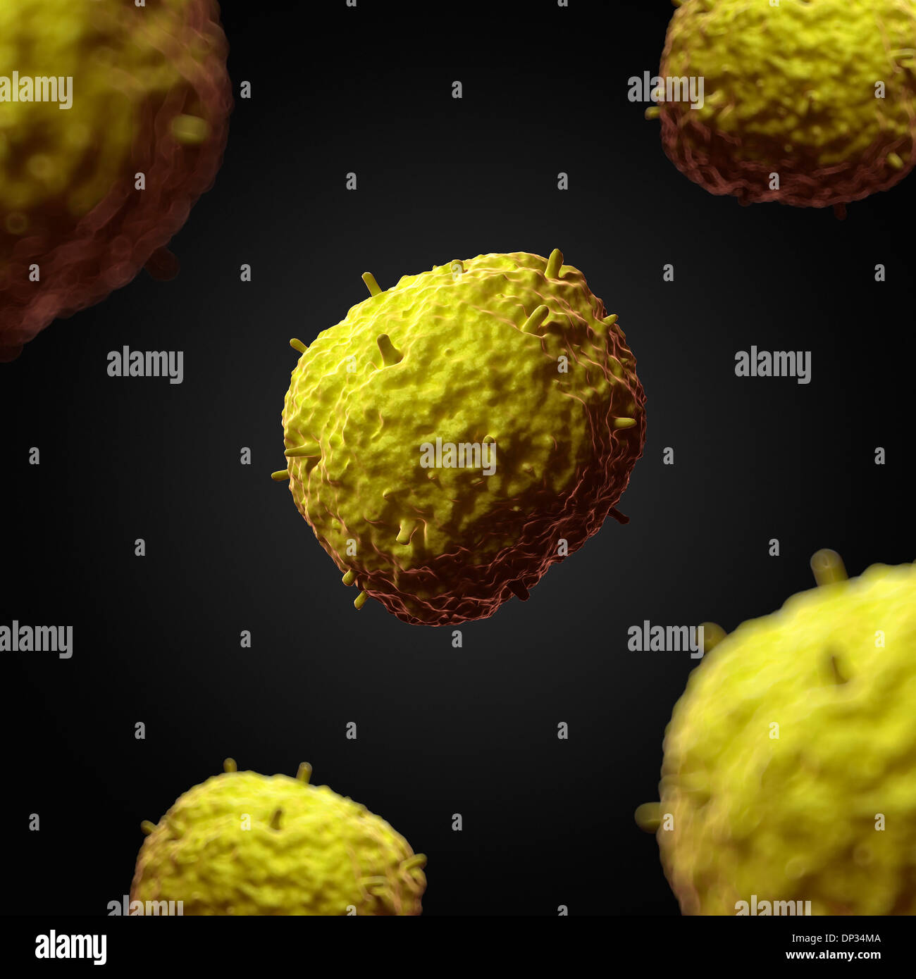H1n1 influenza hi-res stock photography and images - Alamy