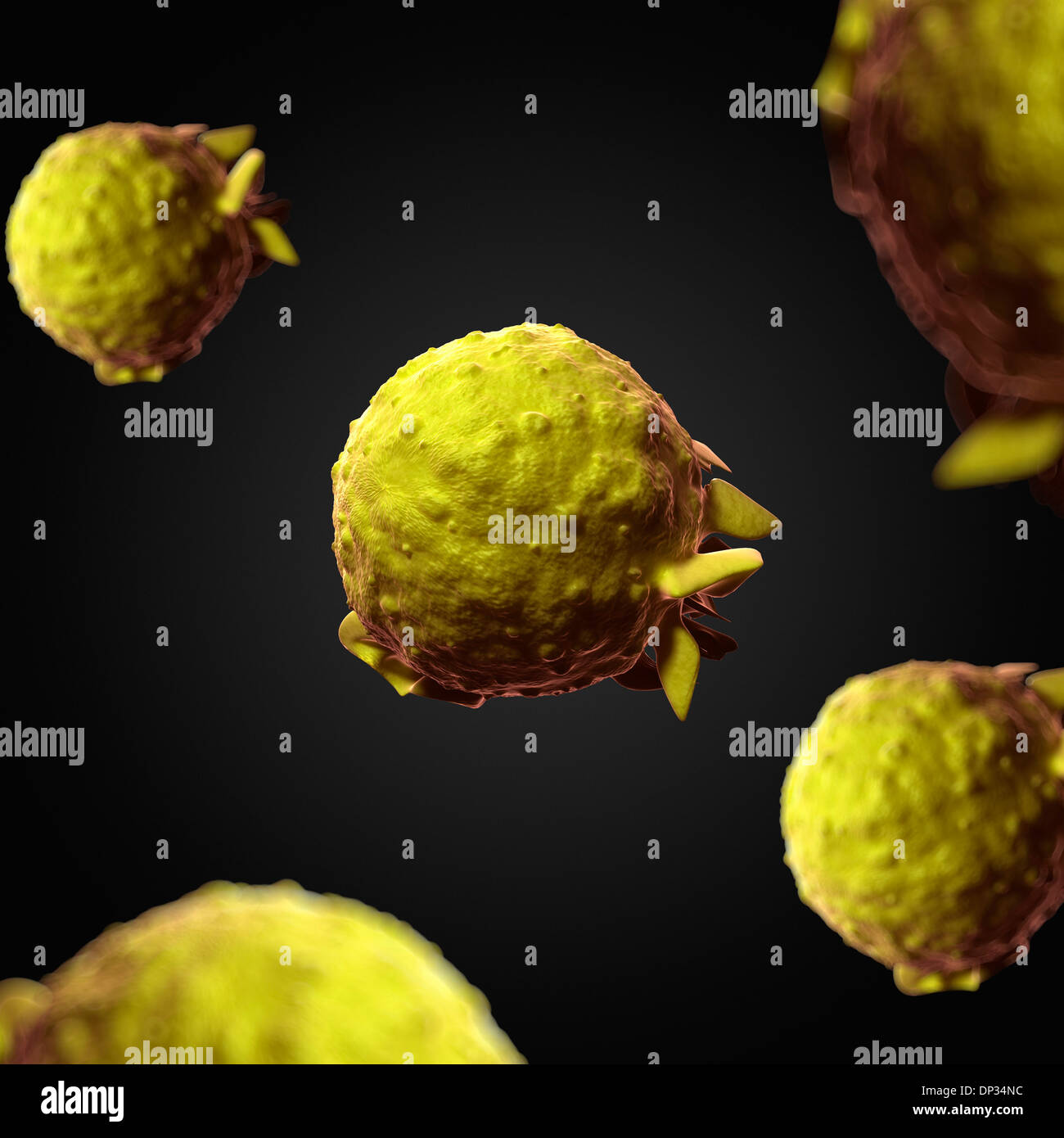 Mono virus, artwork Stock Photo - Alamy