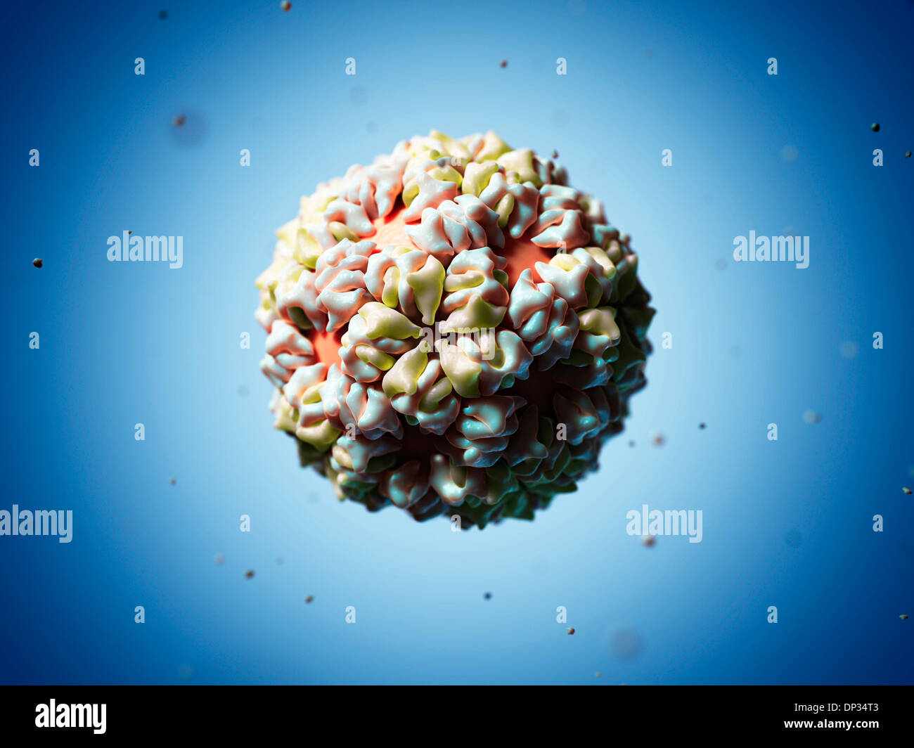 Caulobacter bacteriophage hi-res stock photography and images - Alamy