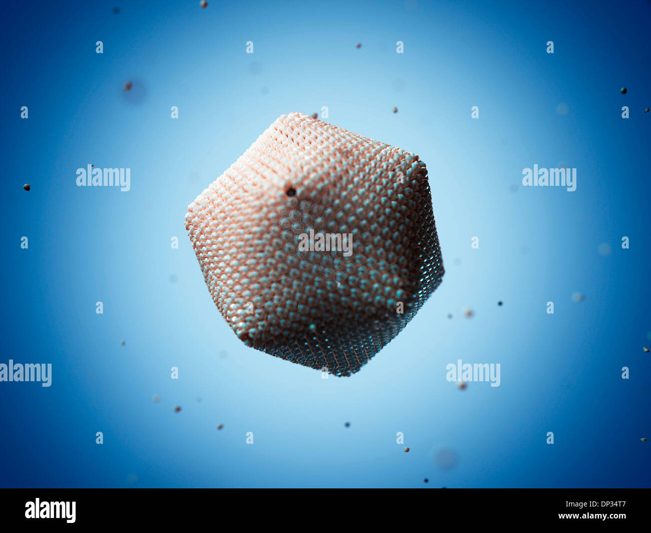 Paramecium paramecium hi-res stock photography and images - Alamy