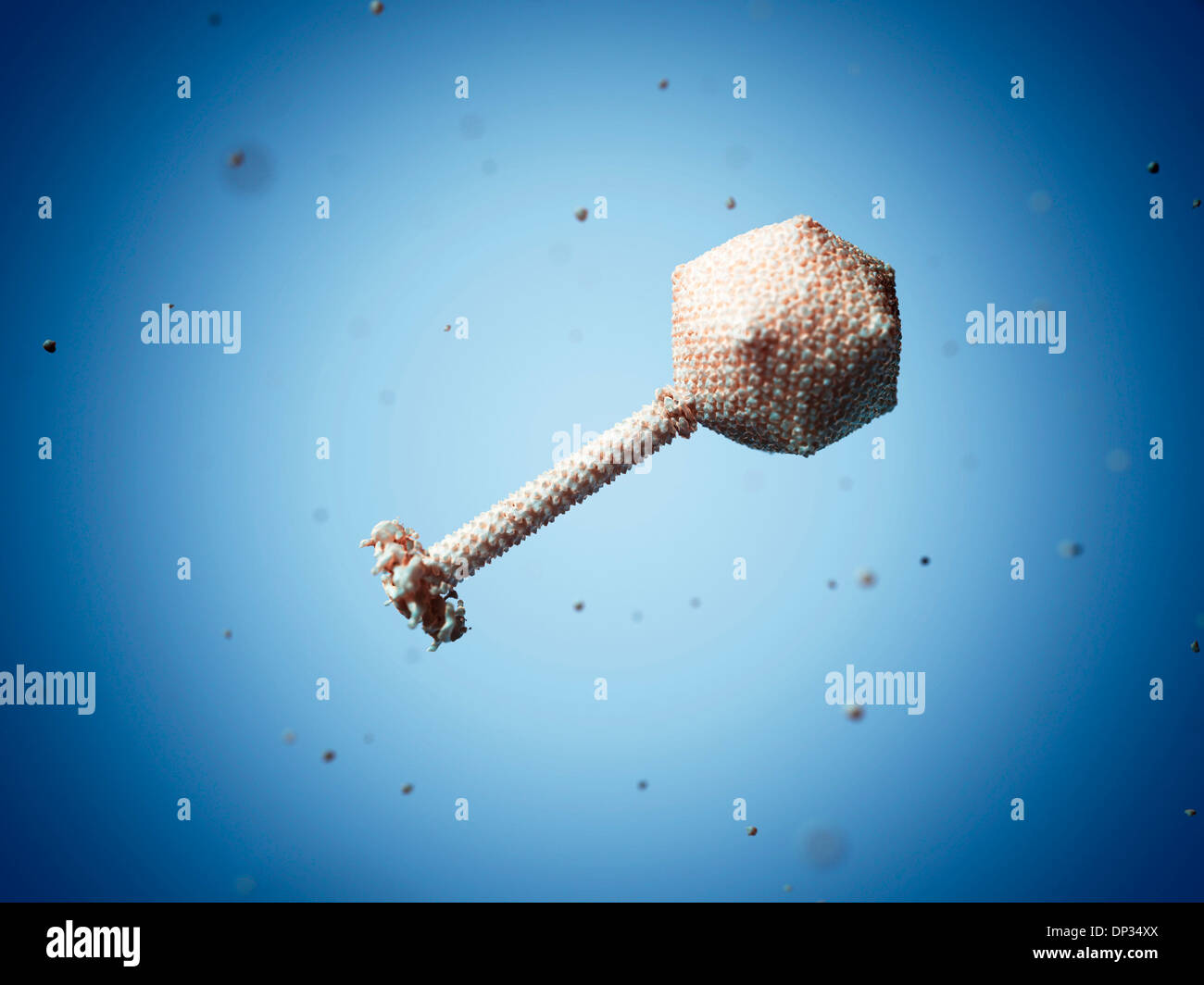 Bacteriophage phiKZ particle, artwork Stock Photo - Alamy
