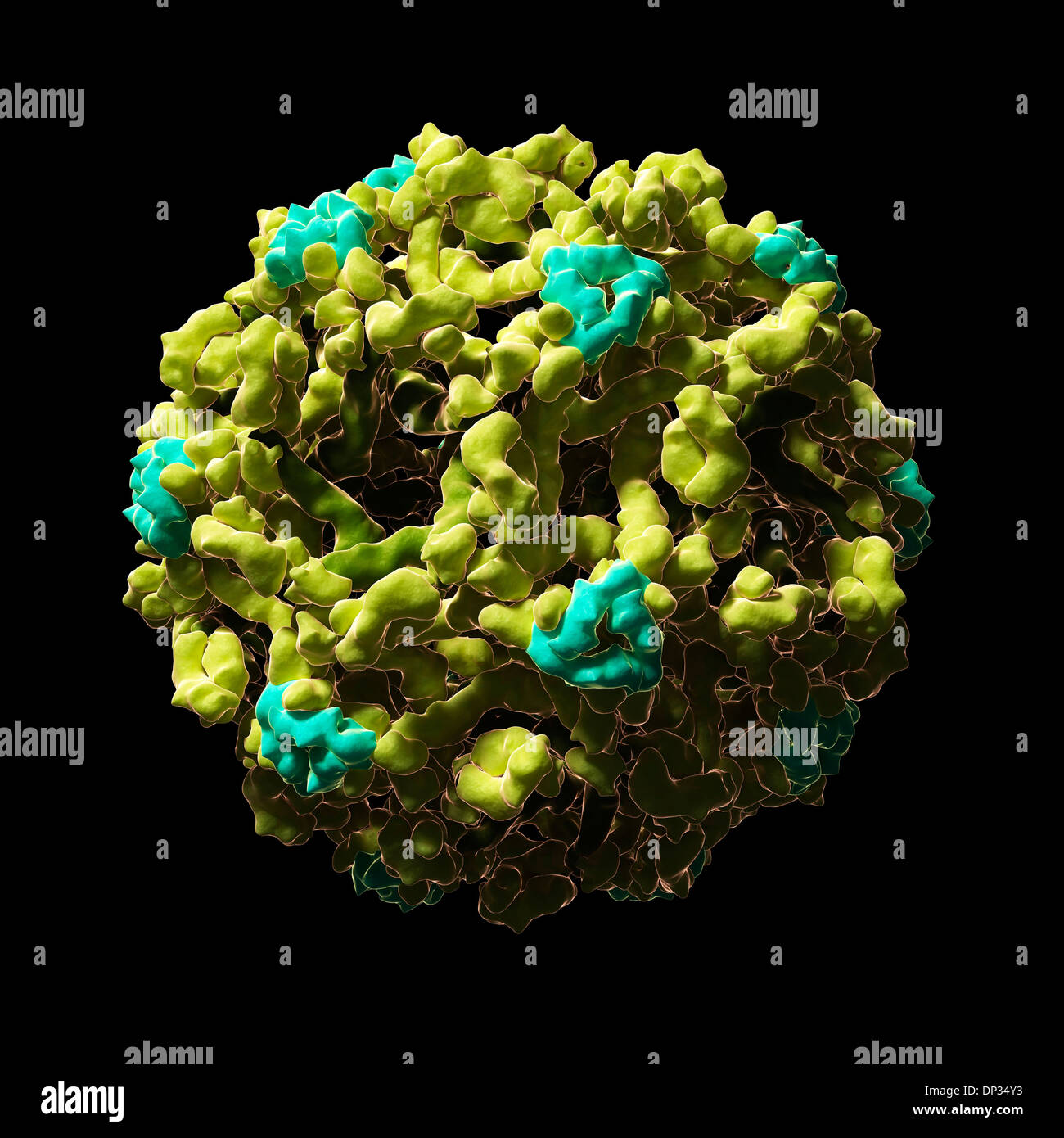 West Nile virus particle, artwork Stock Photo - Alamy