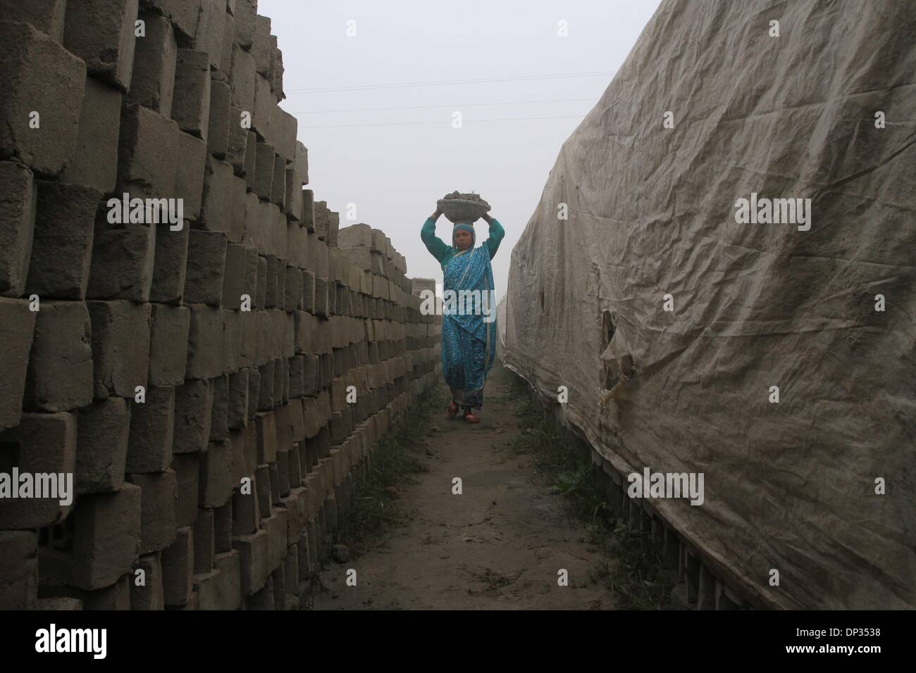 Bangladeshi animals hi-res stock photography and images - Alamy