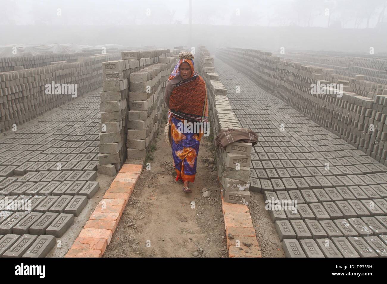Bangladeshi woman daily laborer working winter morning in a brickfield ...