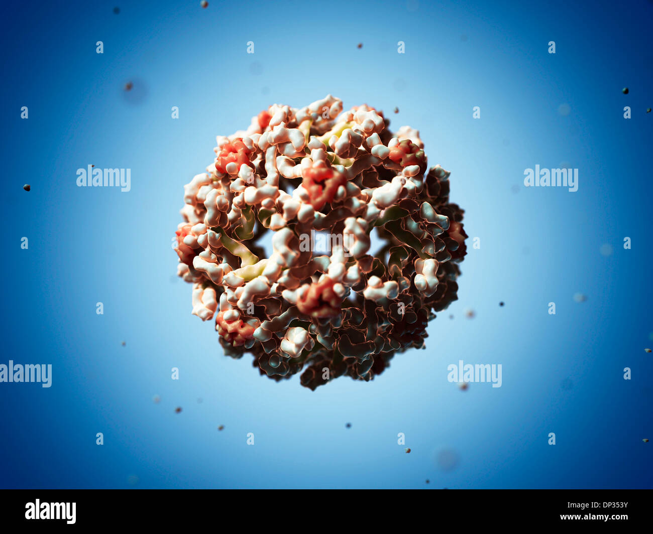 West nile virus particle hi-res stock photography and images - Alamy