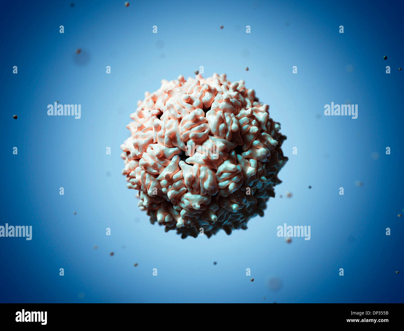 RNA hairpin virus particle, artwork Stock Photo - Alamy