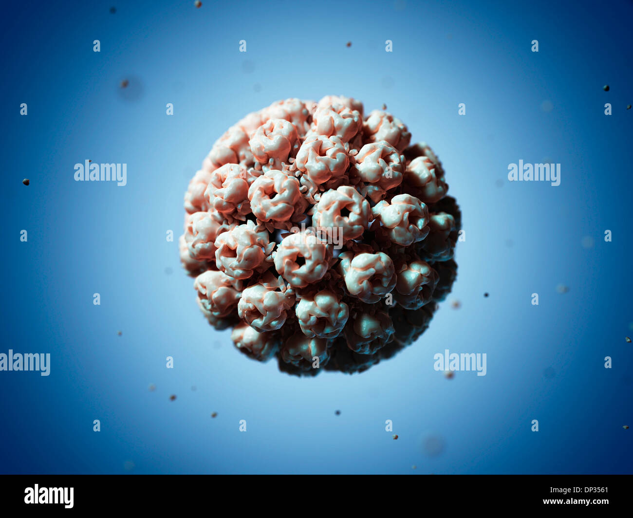 Simian virus 40 particle, artwork Stock Photo - Alamy