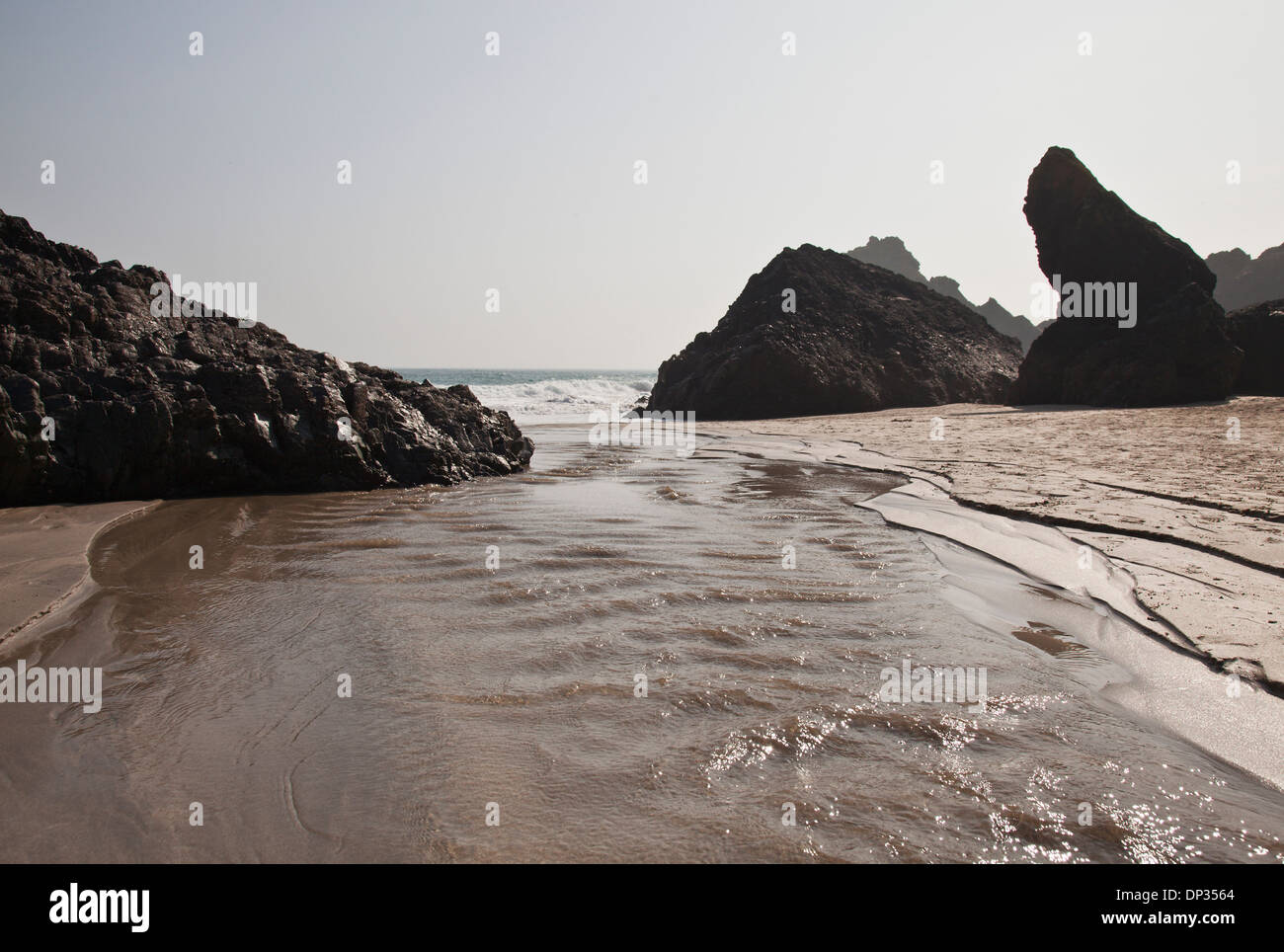 The beach at Kynance Cove, Lizard Point, Cornwall, UK Stock Photo - Alamy