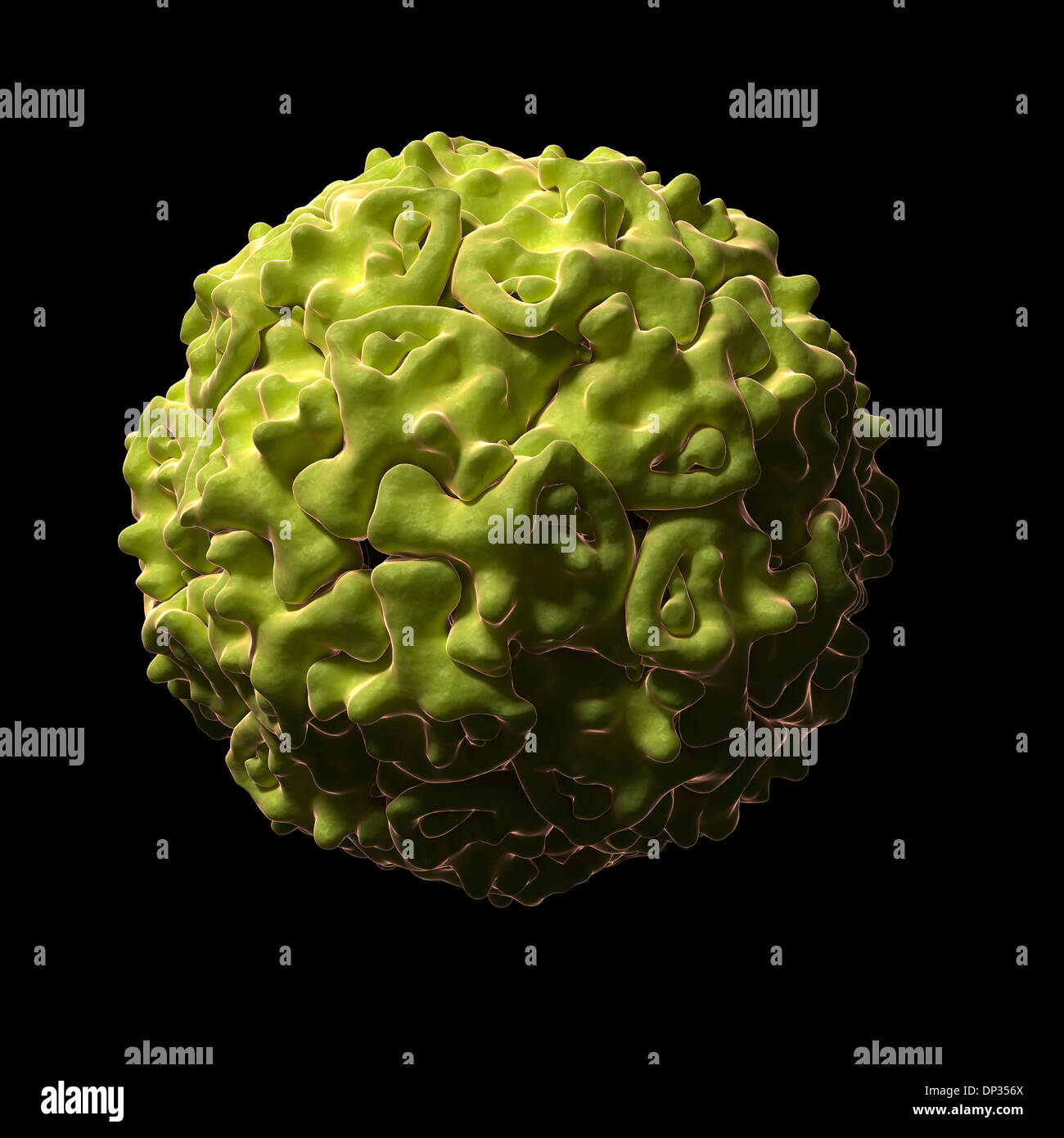 Densovirus particle, artwork Stock Photo - Alamy