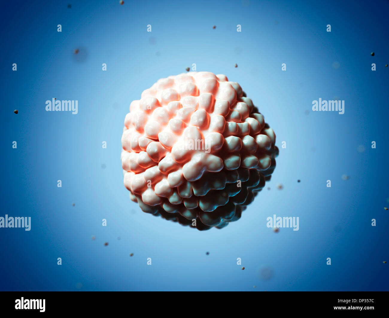 Nudaurelia capensis omega virus, artwork Stock Photo - Alamy