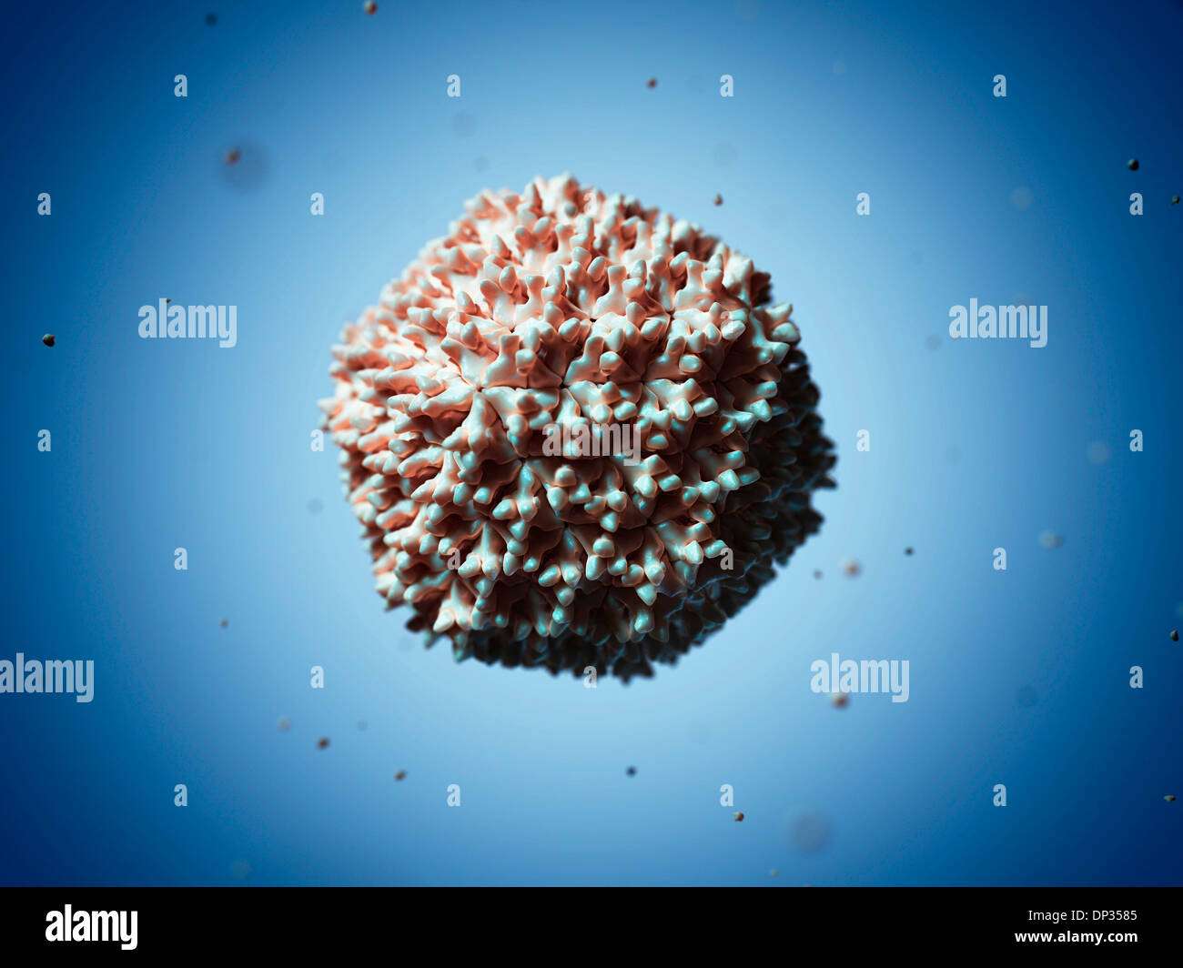 Rice dwarf virus hi-res stock photography and images - Alamy