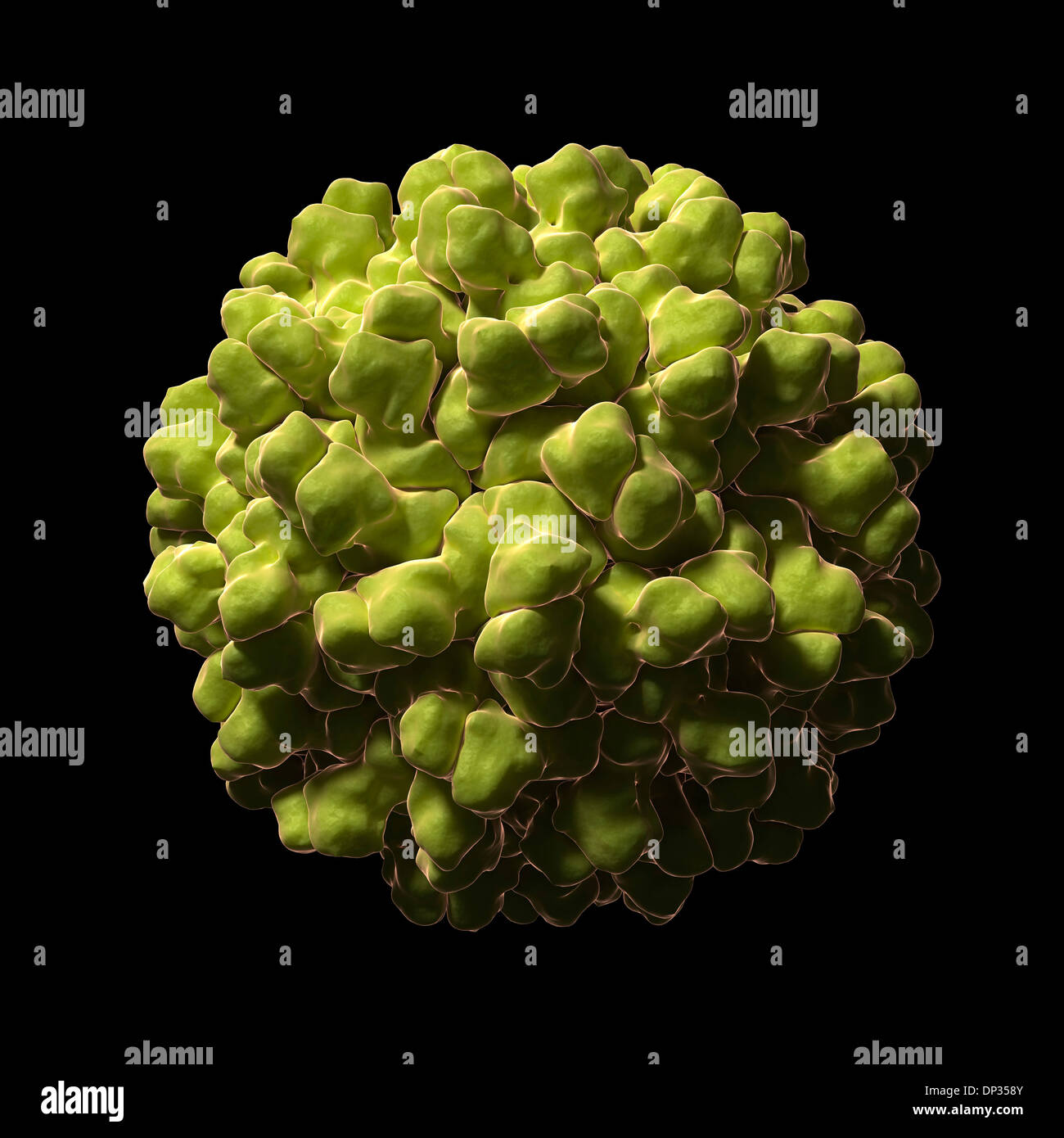 Melon necrotic spot virus, artwork Stock Photo - Alamy