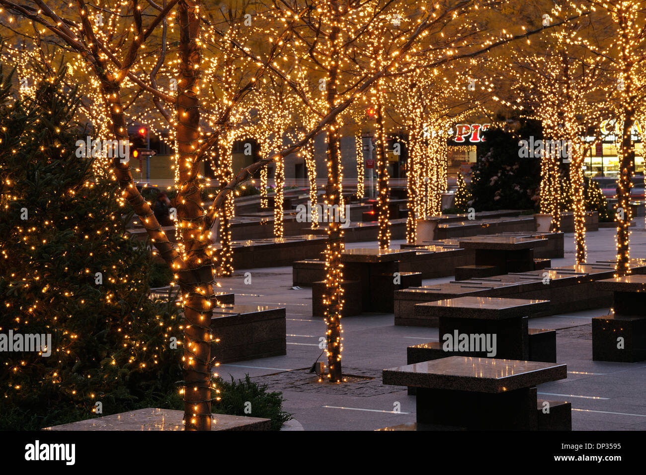 Trees Decorated with Lights in Park at Night, Manhattan, New York City ...