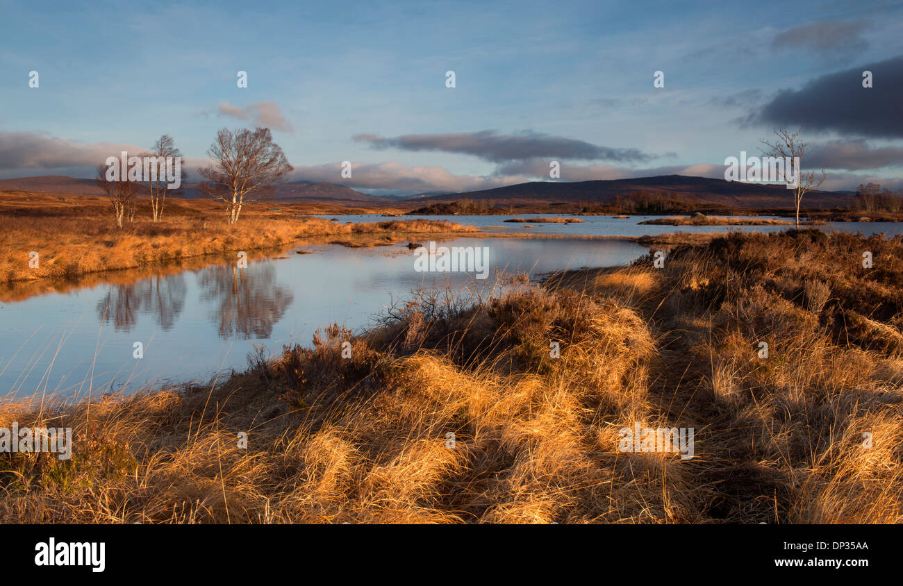 Sunrise / early winter morning at Loch Ba, Rannoch Moor Scotland UK ...