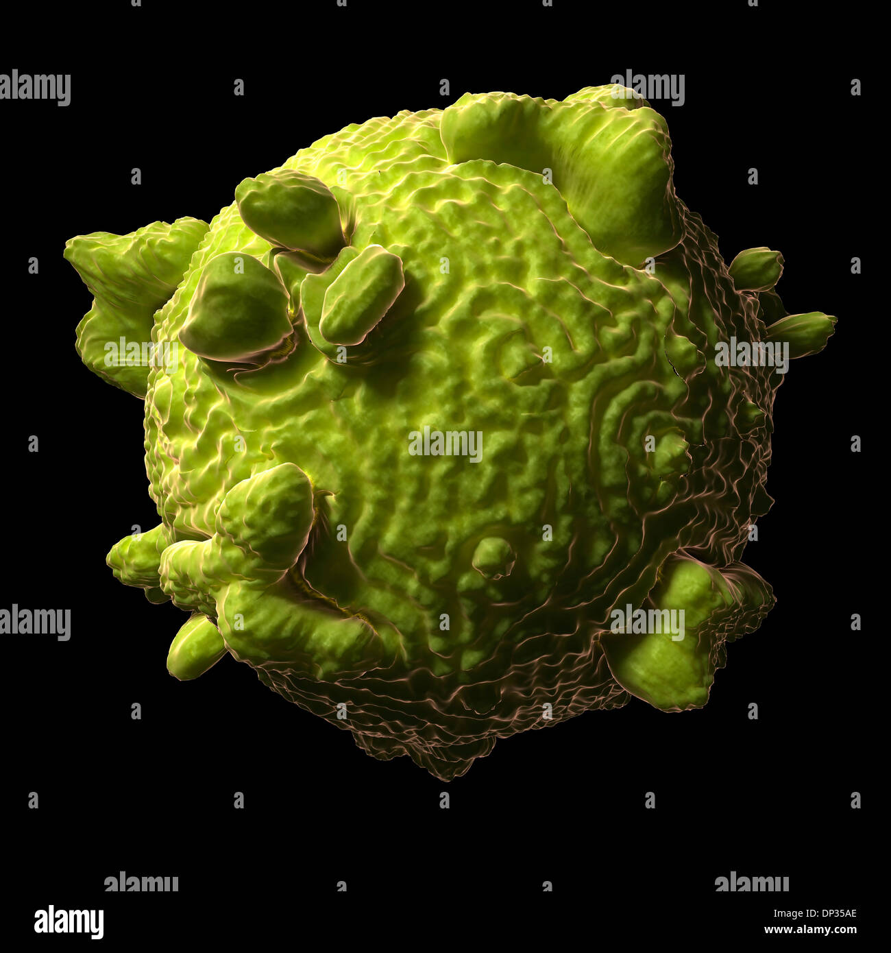 Parvovirus hi-res stock photography and images - Alamy